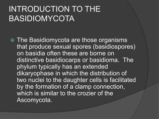 Introduction to the basidiomycota | PPTX