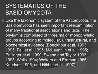 Introduction to the basidiomycota | PPTX