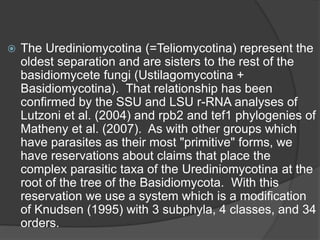 Introduction to the basidiomycota | PPTX