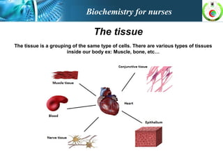 Introduction to the biochemistry | PPT