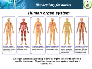 Introduction to the biochemistry | PPT