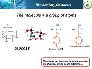 Introduction to the biochemistry | PPT