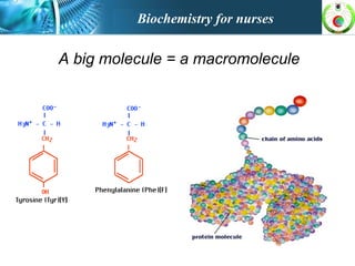 introductiontothebiochemistry-161030045139 [Autosaved].ppt