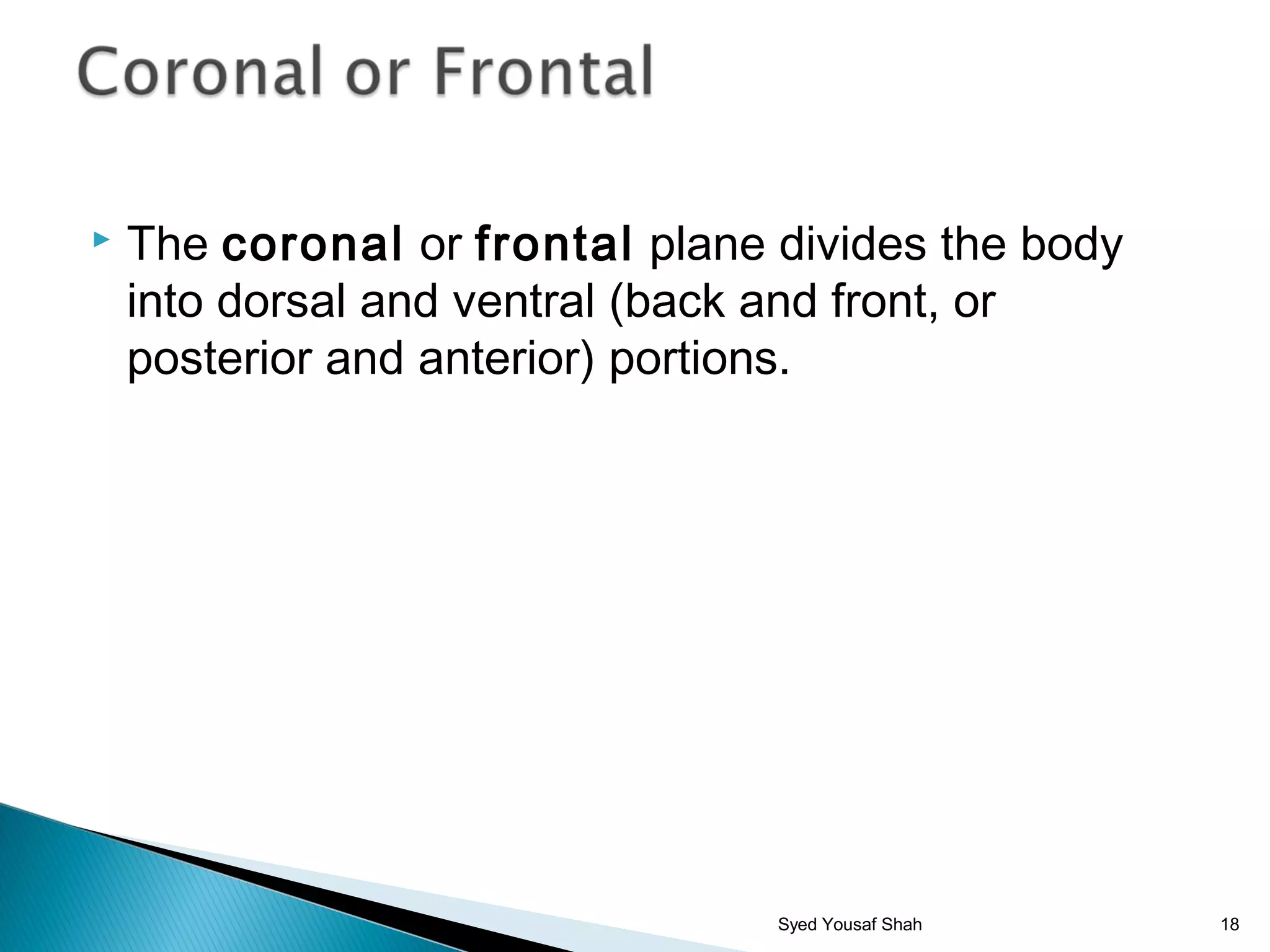 Introduction to the body as a whole (2) | PPT