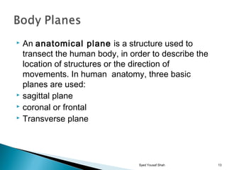 Introduction to the body as a whole (2) | PPT