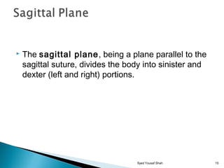 Introduction to the body as a whole (2) | PPT