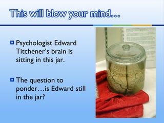 Introduction To The Brain | PPT