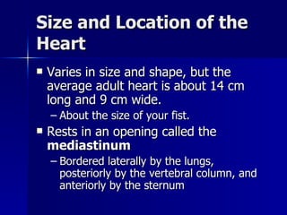 Introduction to the_cardiovascular_system | PPT