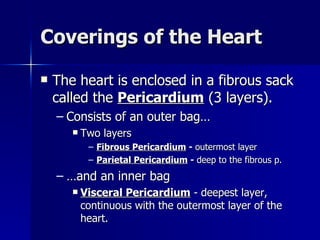 Introduction to the_cardiovascular_system | PPT