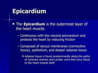 Introduction to the_cardiovascular_system | PPT