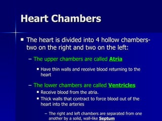 Introduction to the_cardiovascular_system | PPT