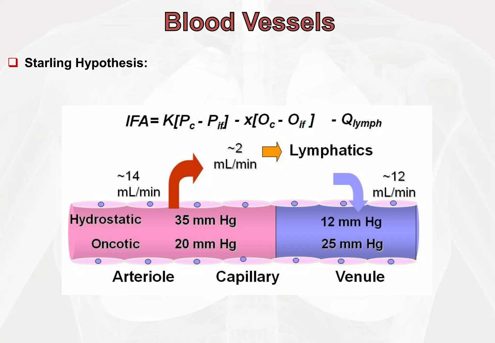 Introduction to the Cardiovascular system - Students.pptx
