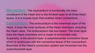 Introduction to the Cardiovascular sytem.pptx