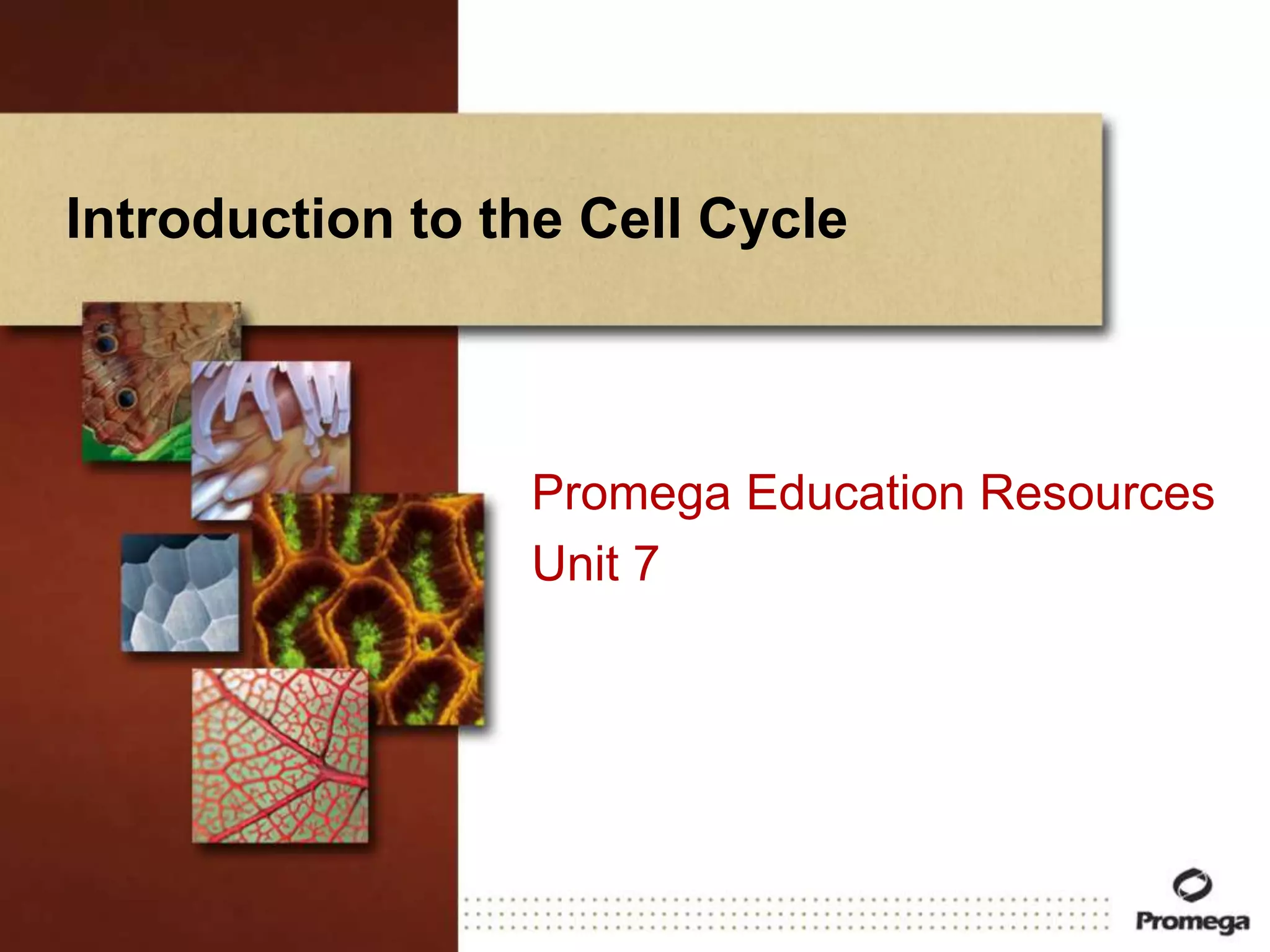 Introduction to the cell cycle | PPTX