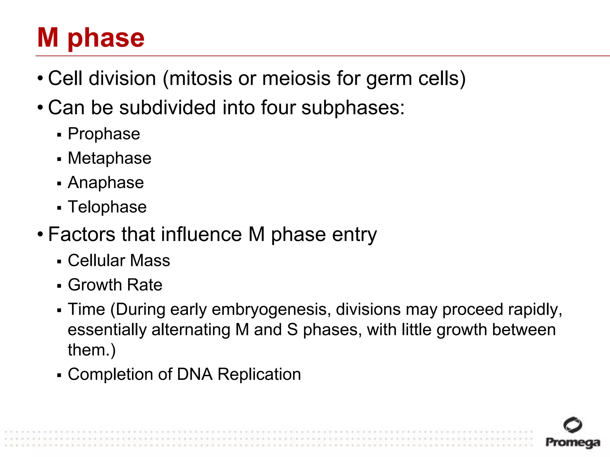Introduction to the cell cycle | PPTX
