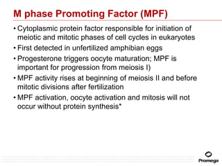 Introduction to the cell cycle | PPTX