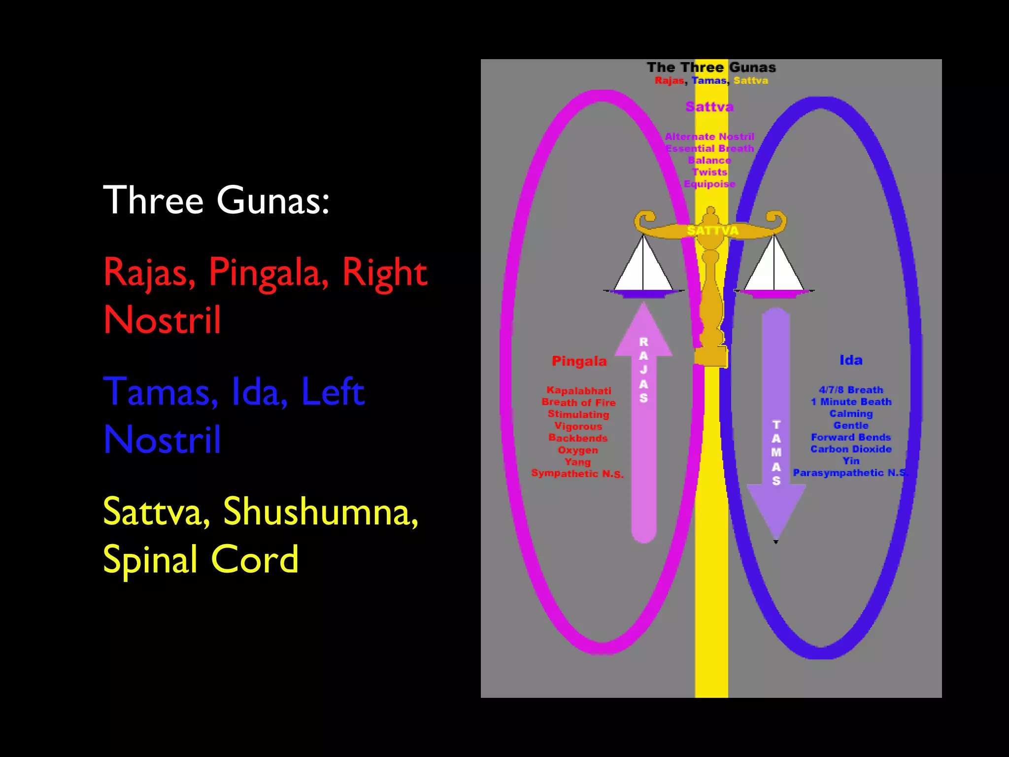 Introduction to the chakras | PPT