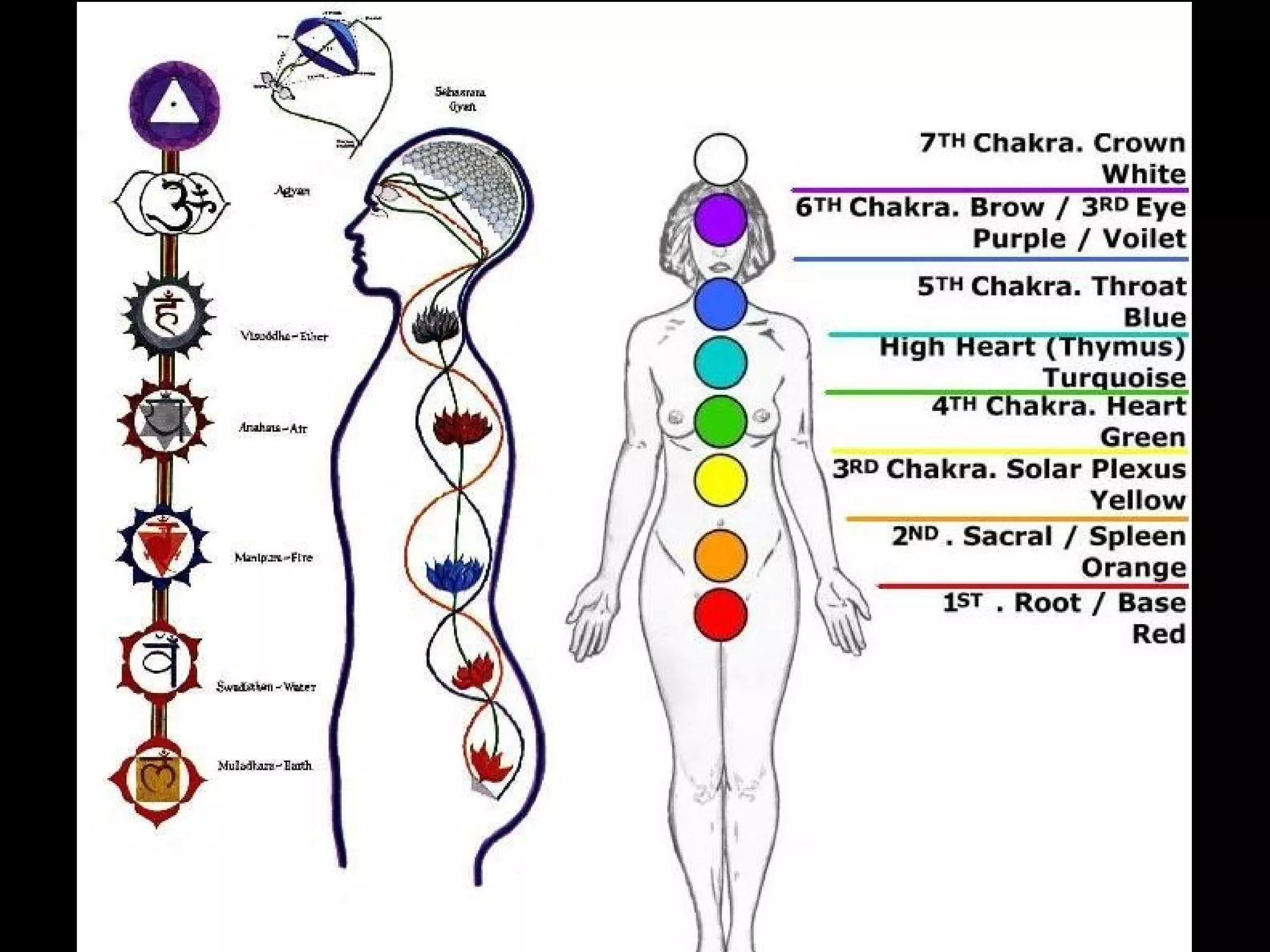 Introduction to the chakras | PPT