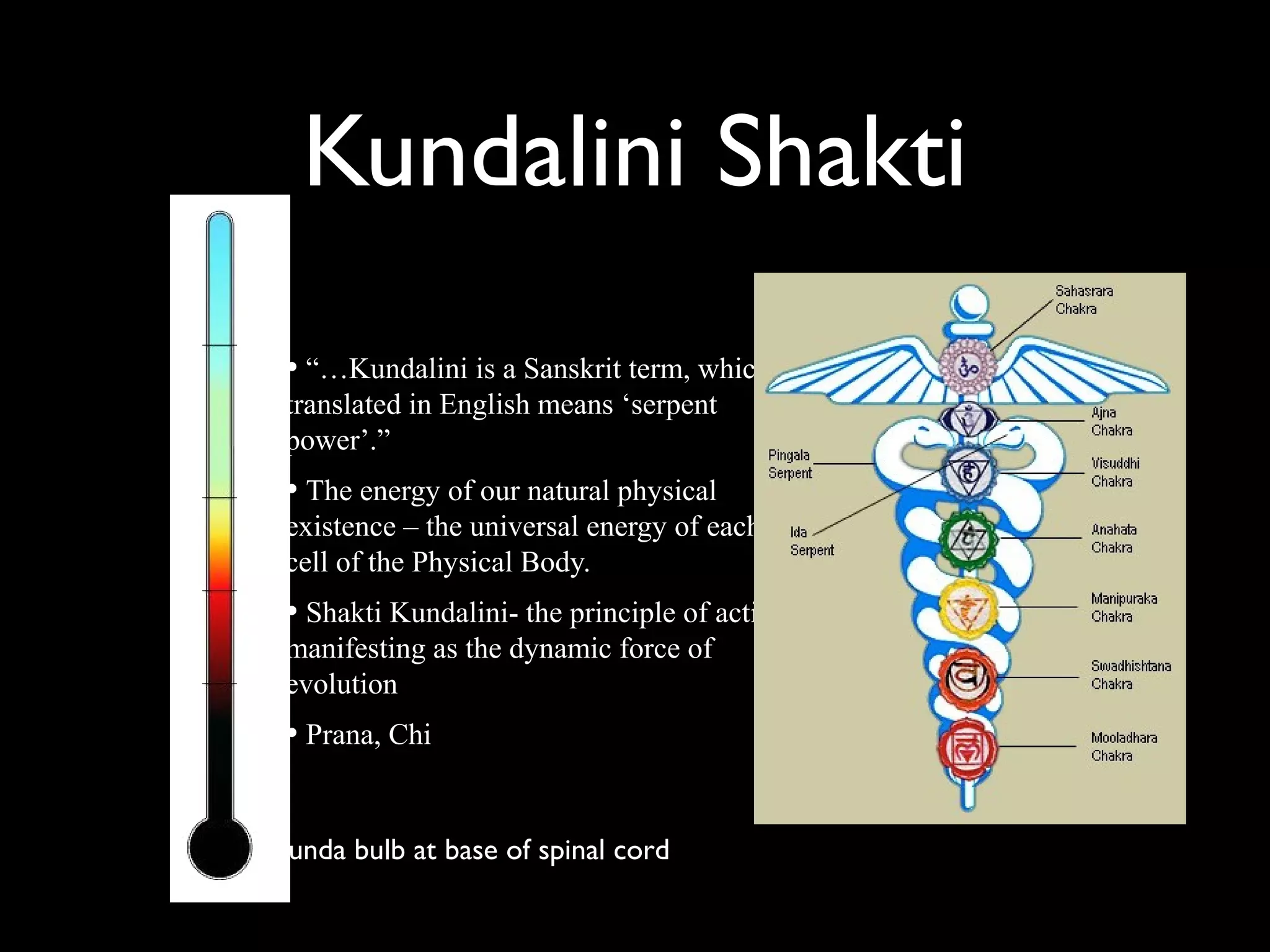 Introduction to the chakras | PPT