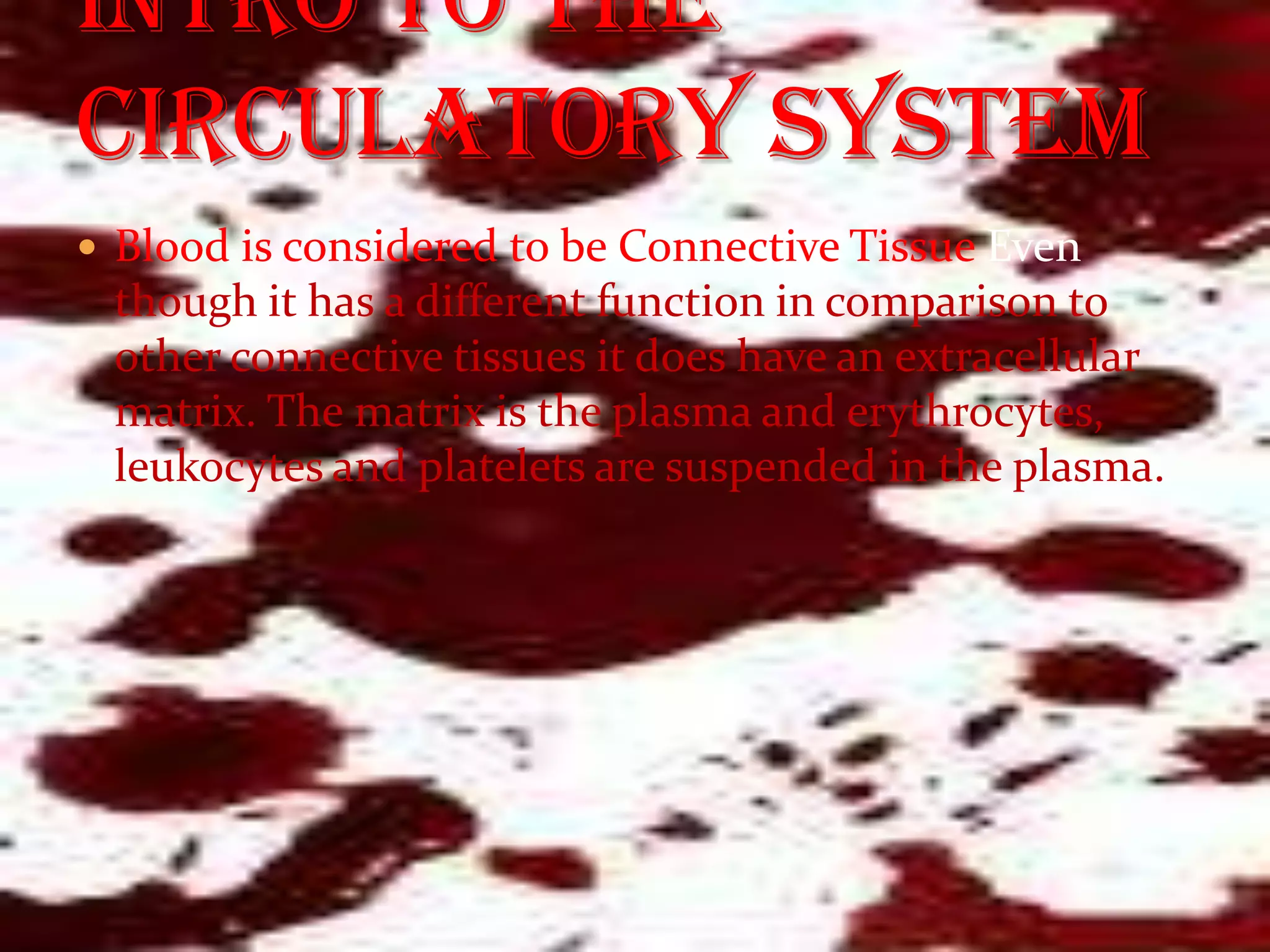 Introduction to the circulatory system | PPTX