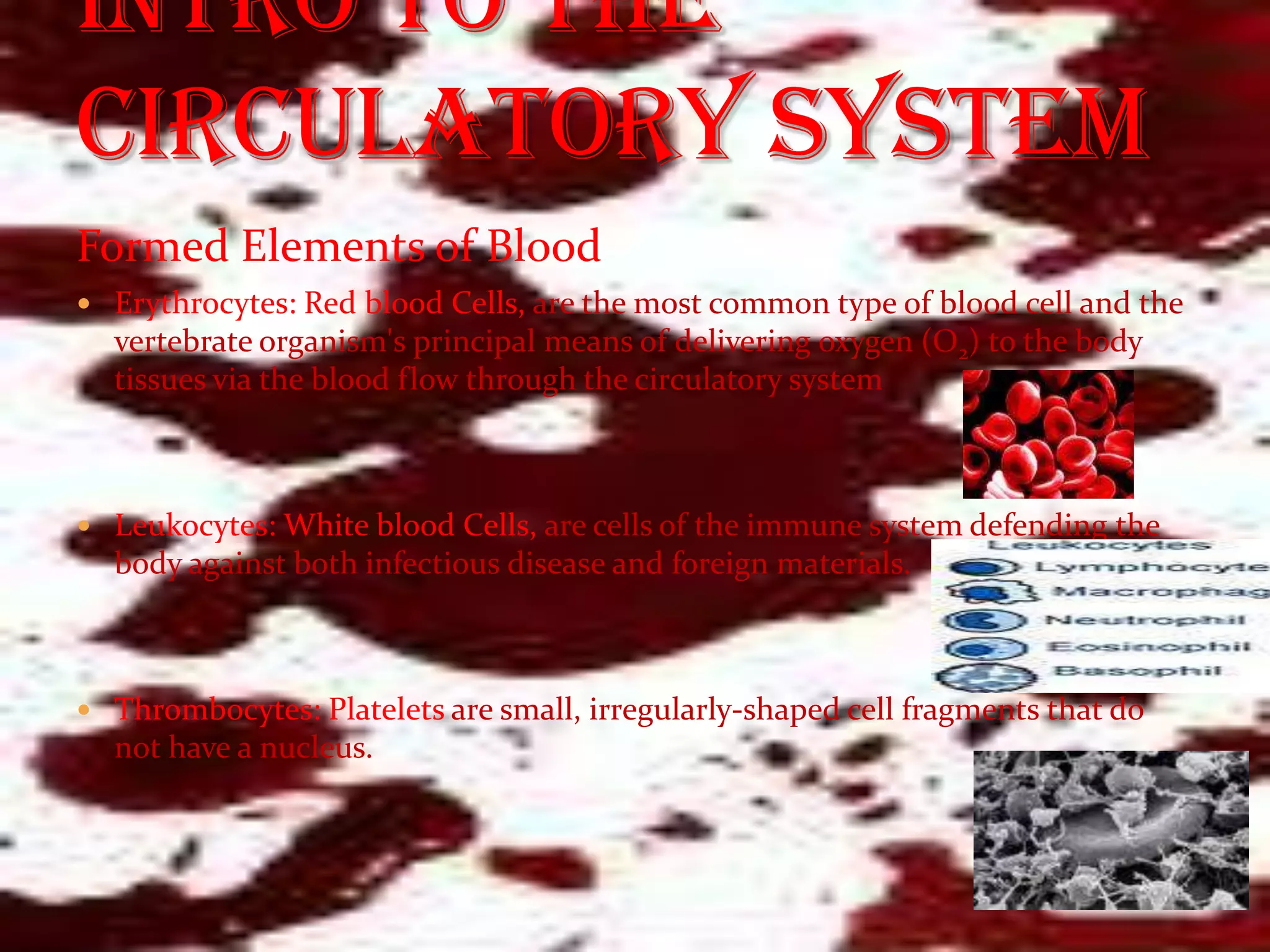 Introduction to the circulatory system | PPTX