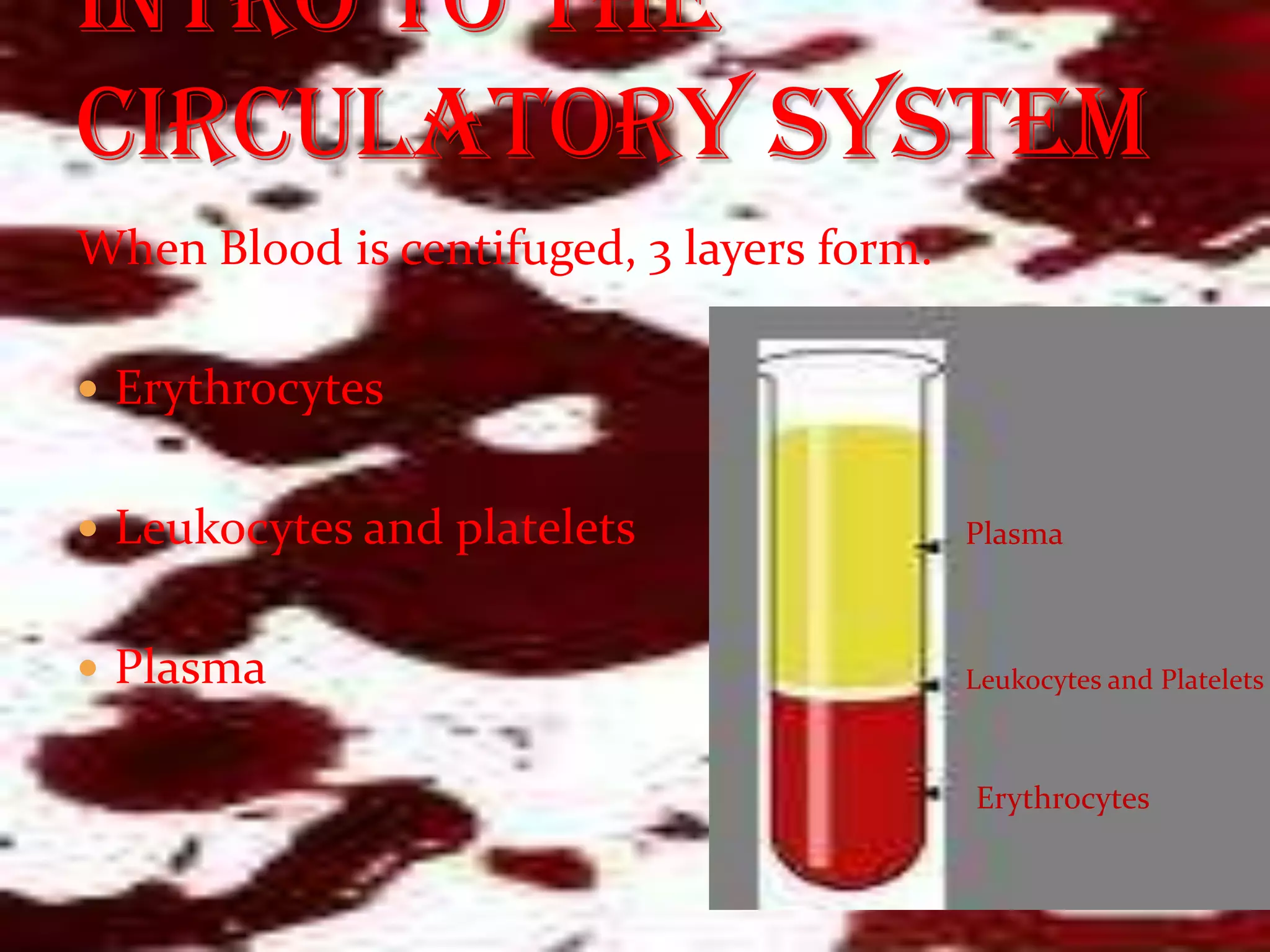 Introduction to the circulatory system | PPTX
