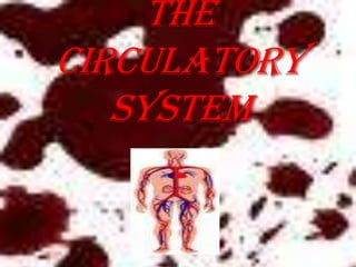 Introduction to the circulatory system | PPTX