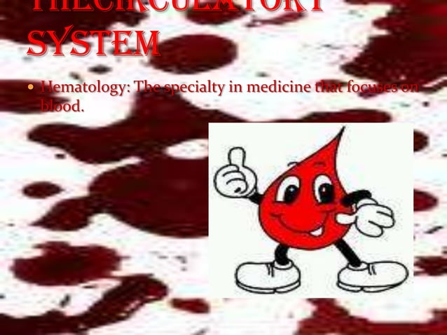 Introduction to the circulatory system | PPTX