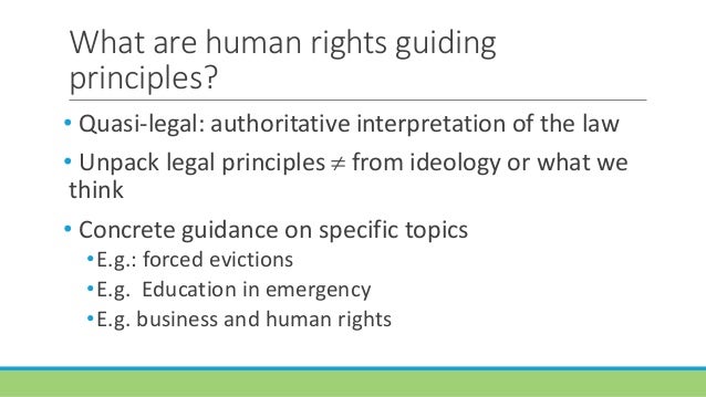 Human Rights Guiding Principles on State obligations regarding privat…