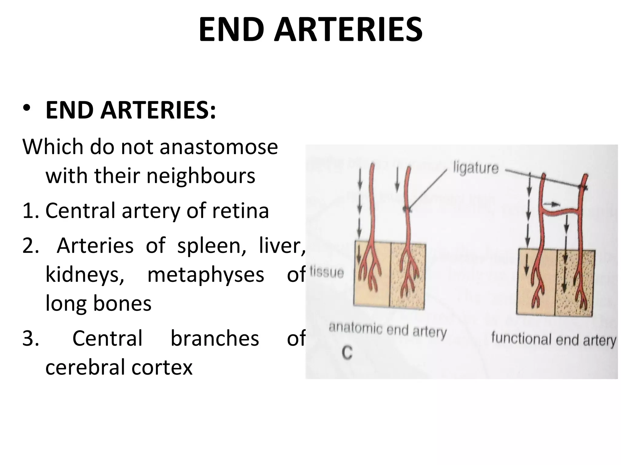 Introduction of CVS | PPT