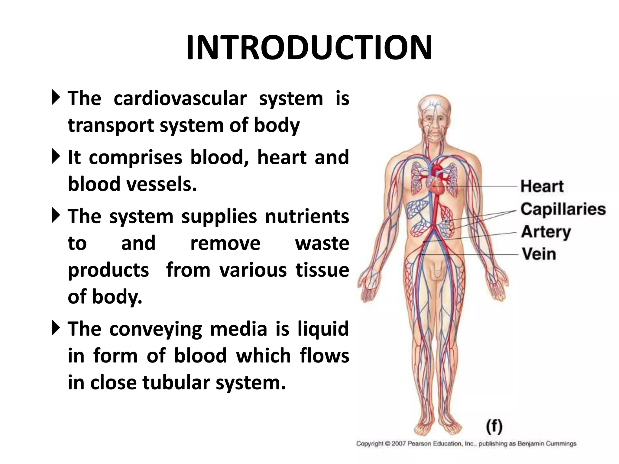 Introduction_to_the_CVS | PPT