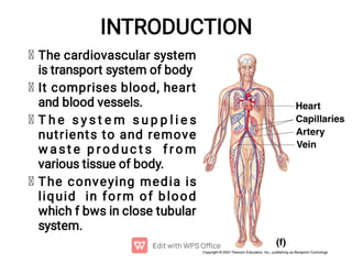Introduction_to_the_CVS.pdf