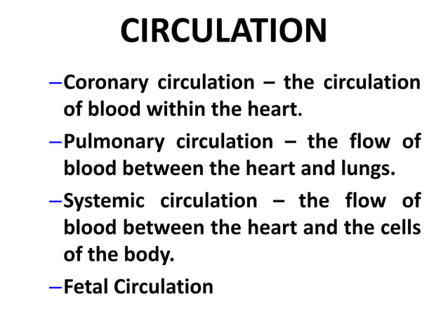 Introduction of circulatory system, students can learn from this being ...
