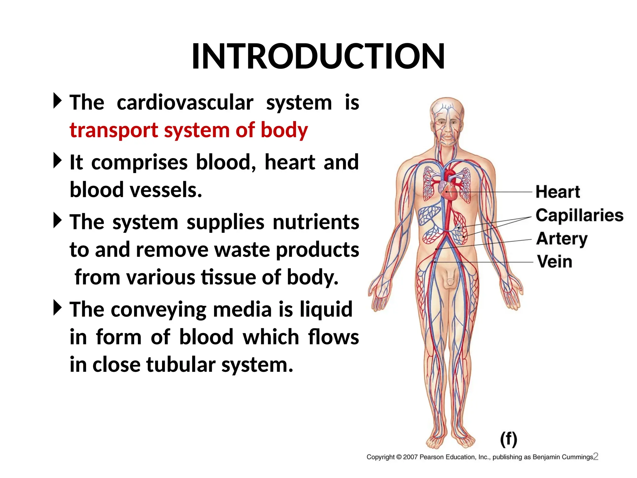 Introduction to the CVS (Cardiovascular System) pptx | PPT
