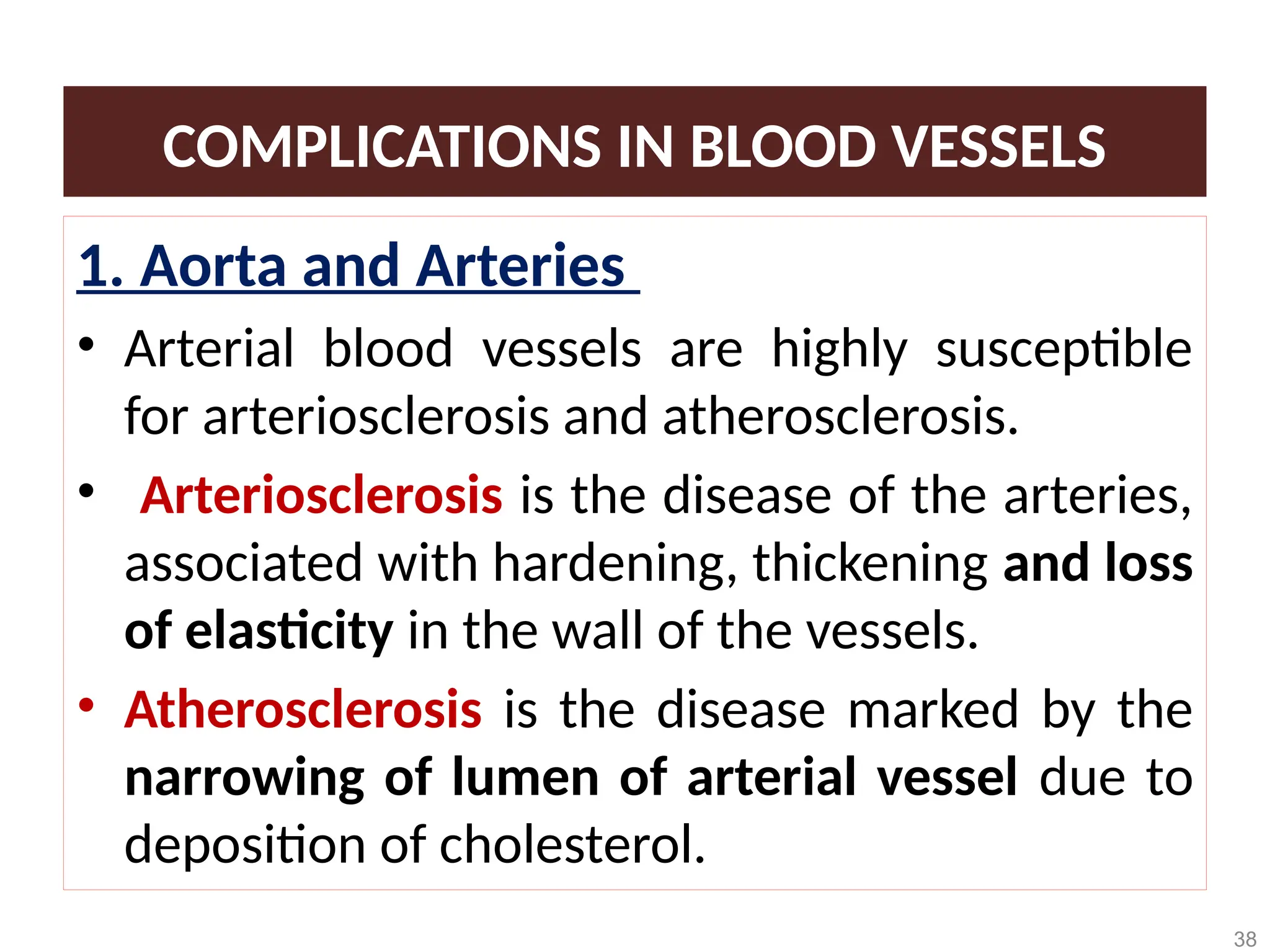 Introduction to the CVS (Cardiovascular System) pptx | PPTX