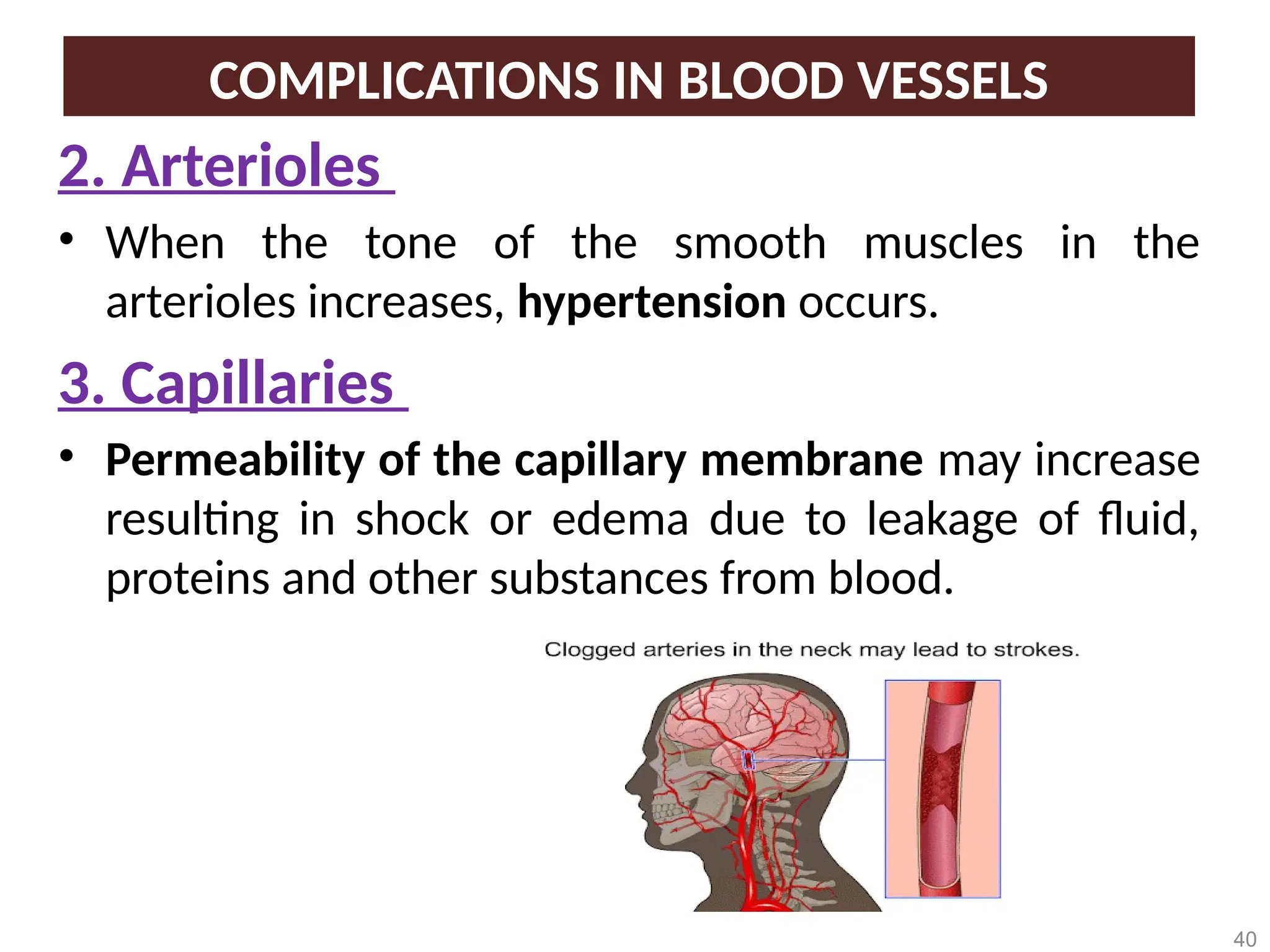Introduction to the CVS (Cardiovascular System) pptx | PPTX