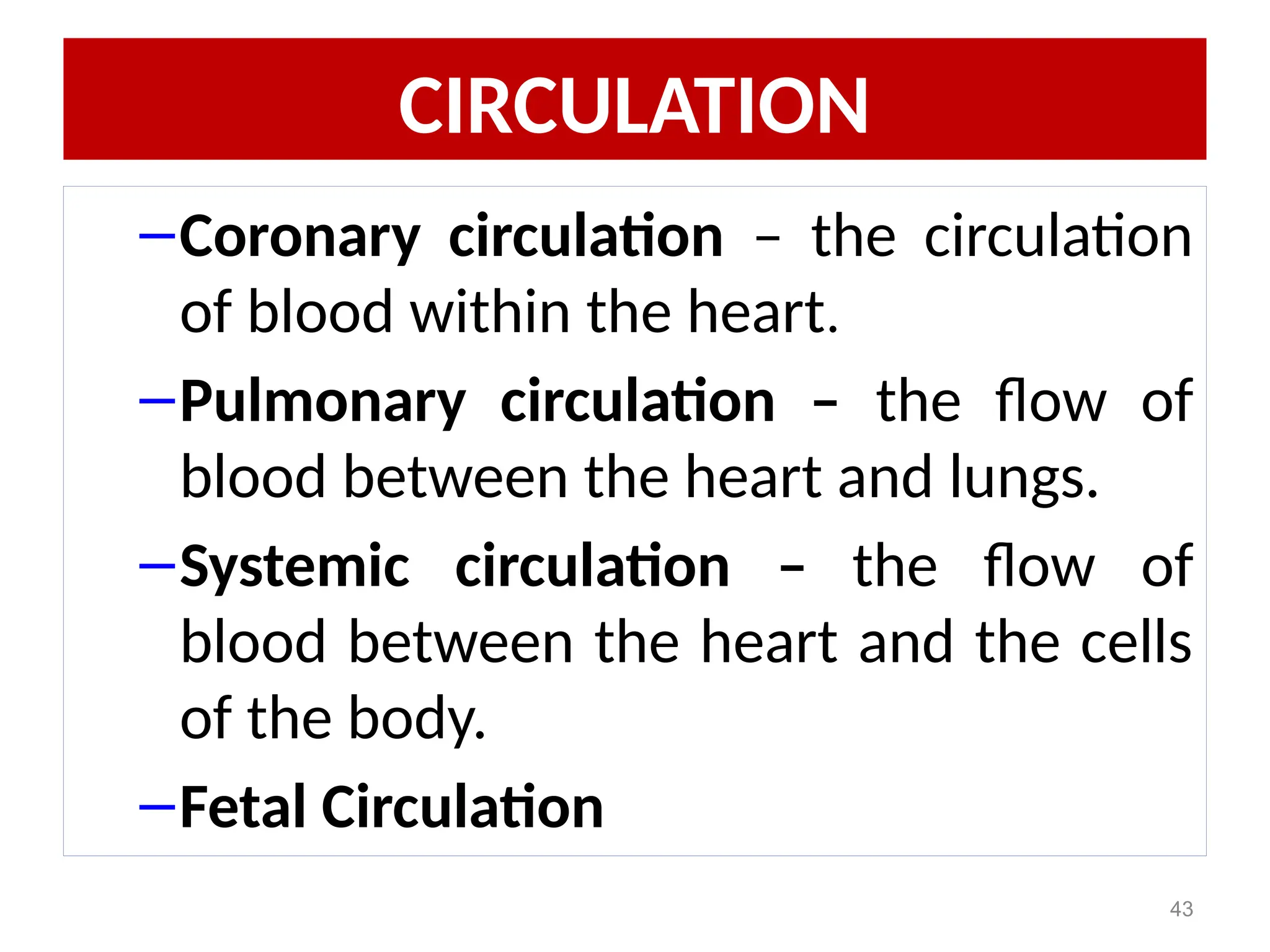 Introduction to the CVS (Cardiovascular System) pptx | PPTX