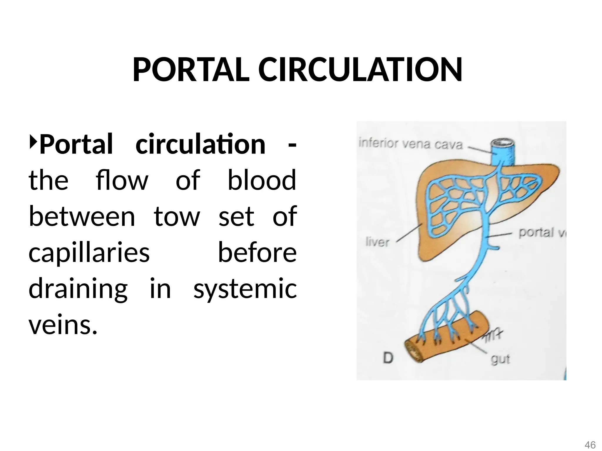 Introduction to the CVS (Cardiovascular System) pptx | PPTX
