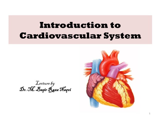 Introduction to the CVS (Cardiovascular System) pptx | PPT