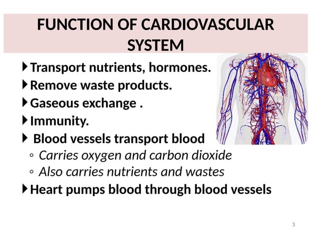 Introduction to the CVS (Cardiovascular System) pptx | PPT