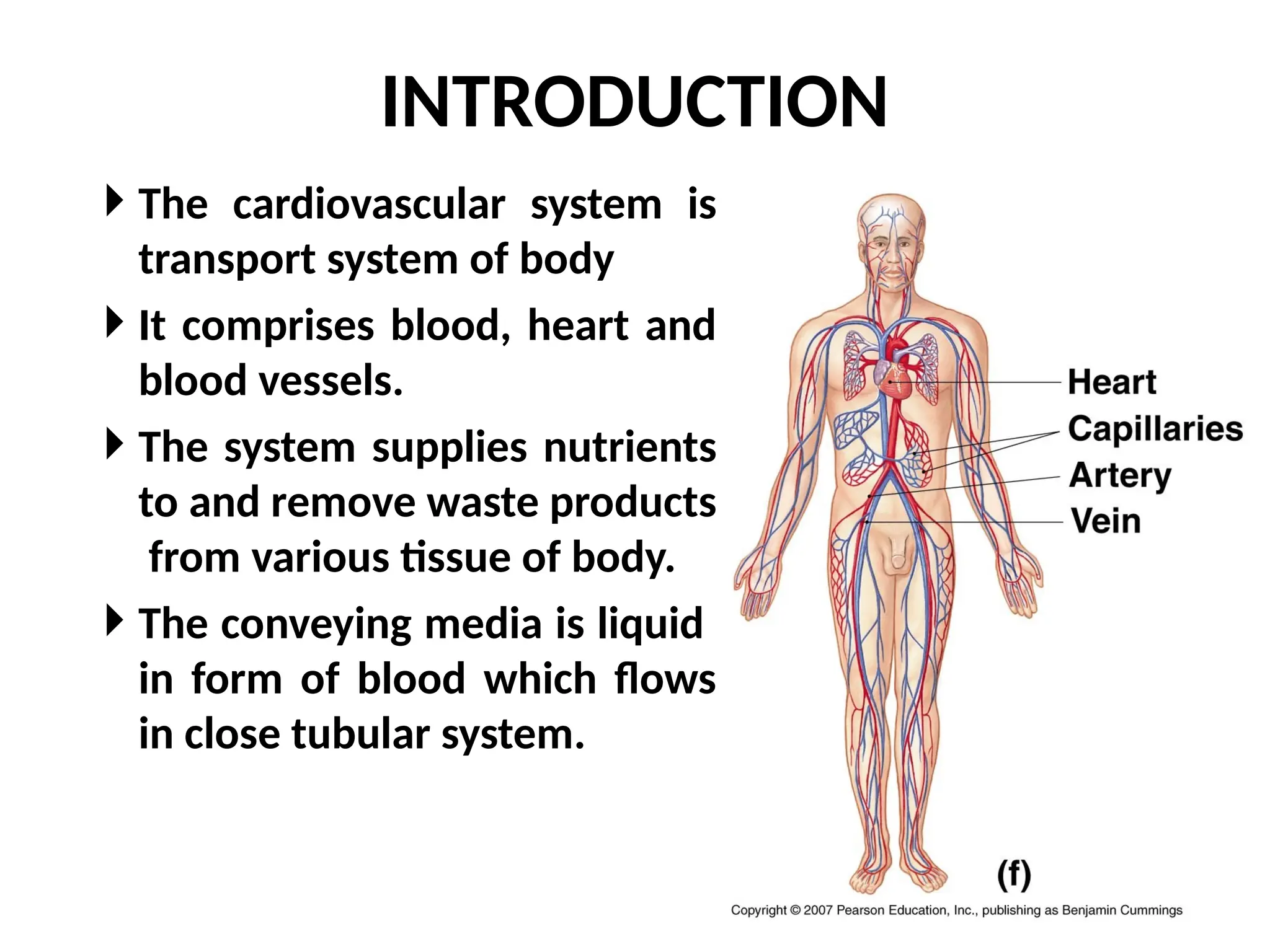 Introduction_to_the_Cardiovascular System.ppt