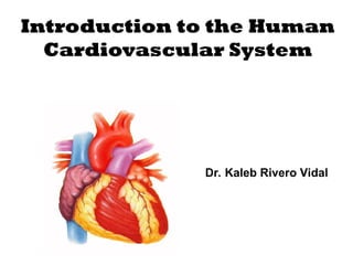 Introduction_to_the_Cardiovascular System.ppt