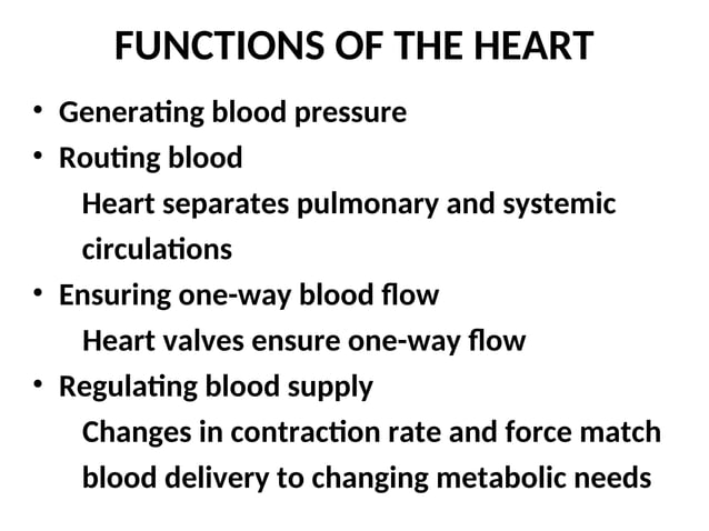 Introduction to the Human Cardiovascular System | PPT