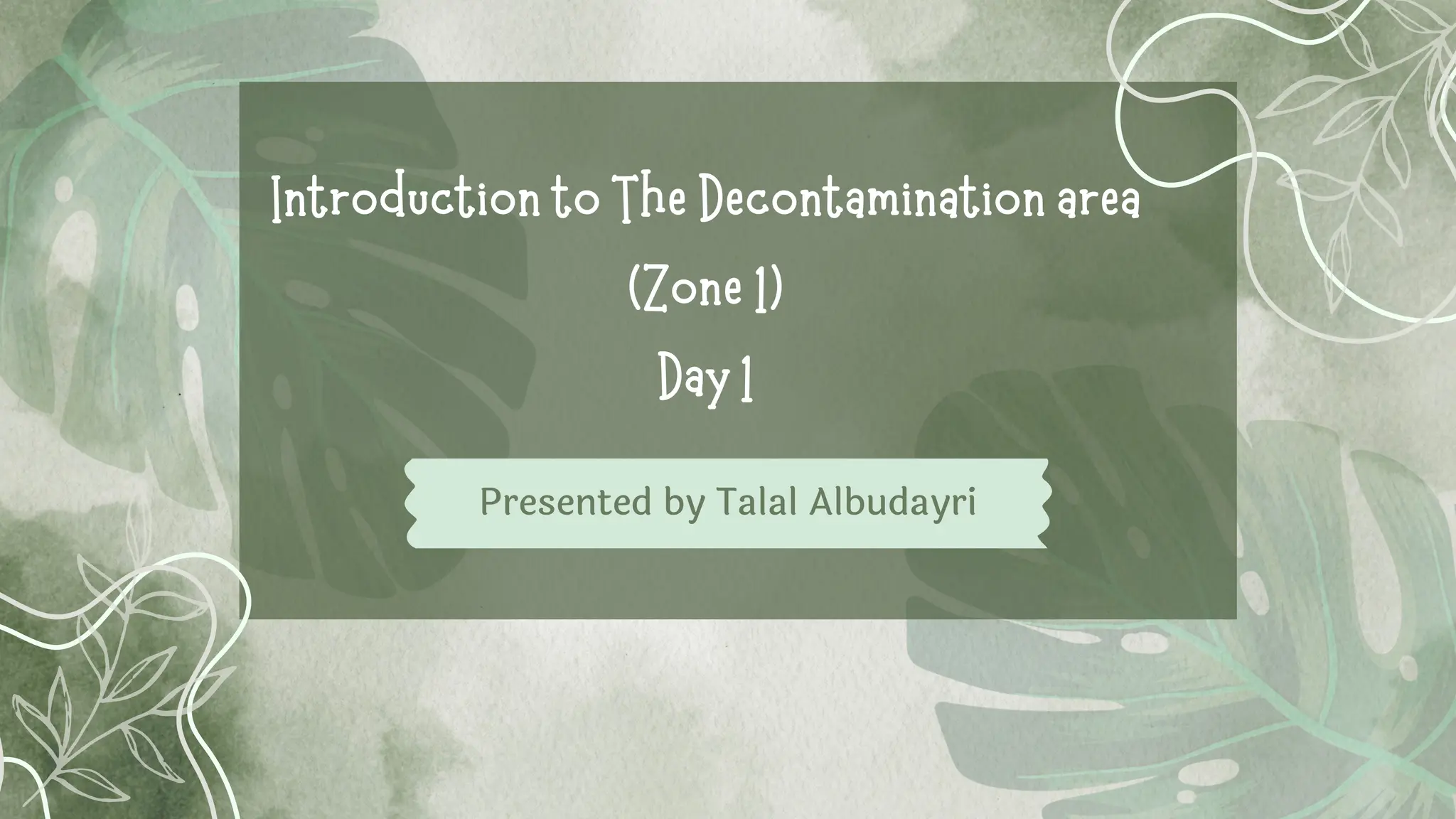 Introduction to The Decontamination area.pdf