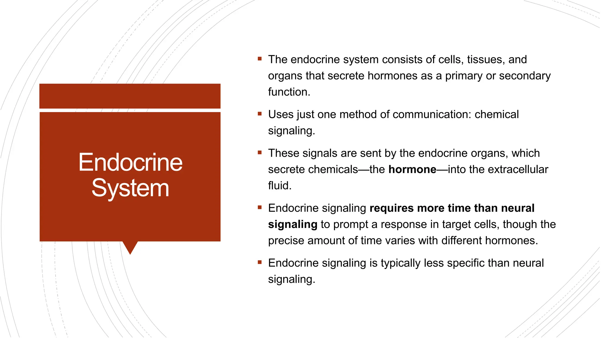 Introduction to the Endocrine System.pptx