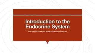 Introduction to the Endocrine System.pptx