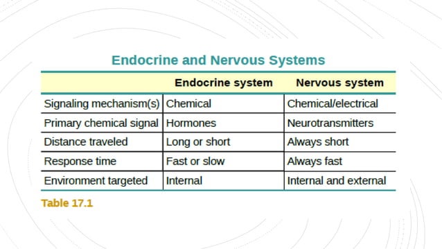 Introduction to the Endocrine System.pptx