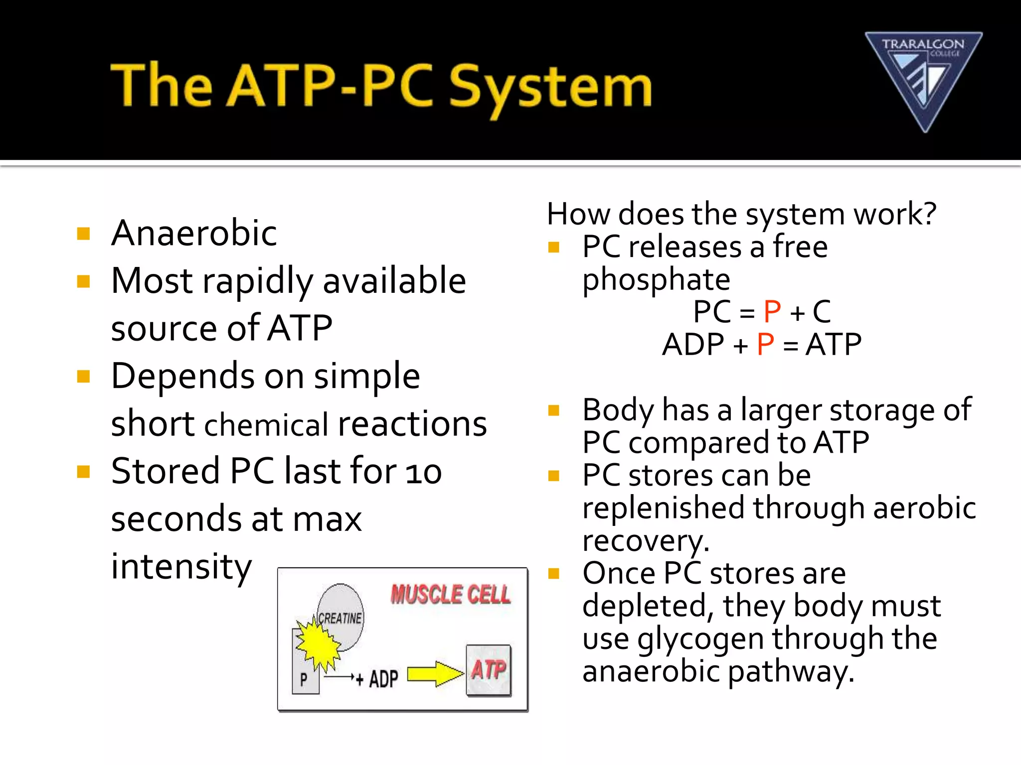 Introduction to the energy systems | PPTX