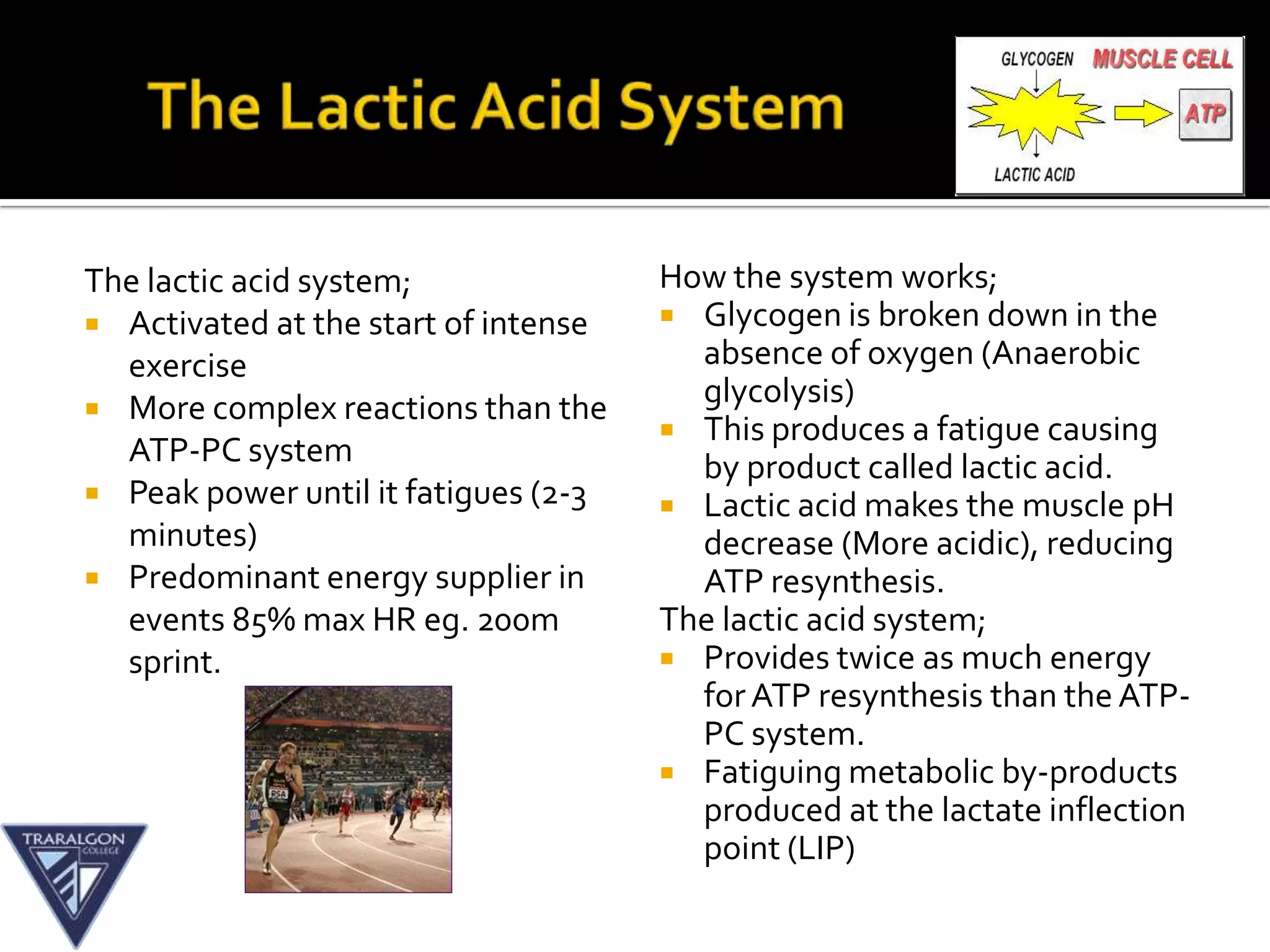 Introduction to the energy systems | PPTX