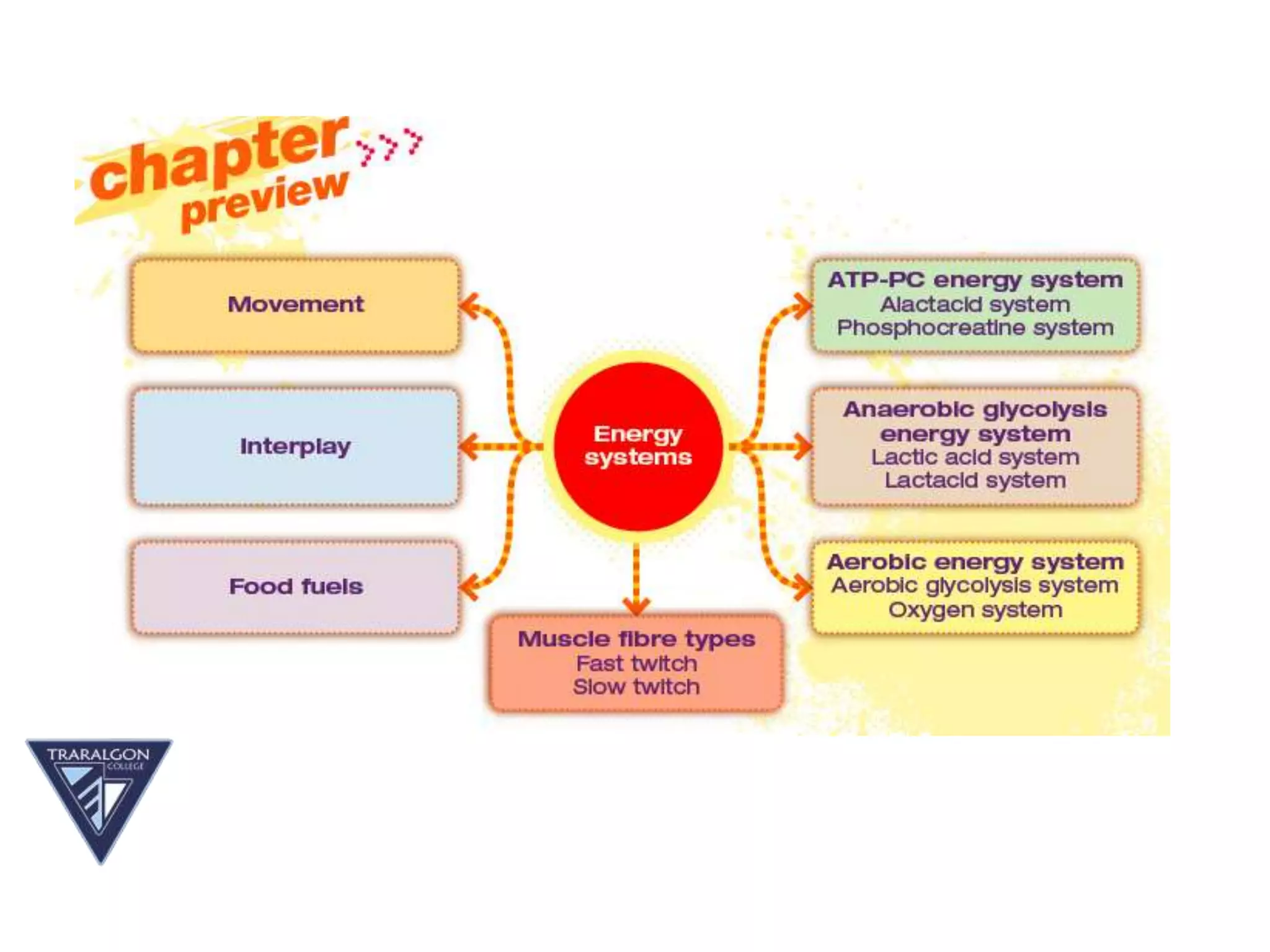 Introduction to the energy systems | PPTX